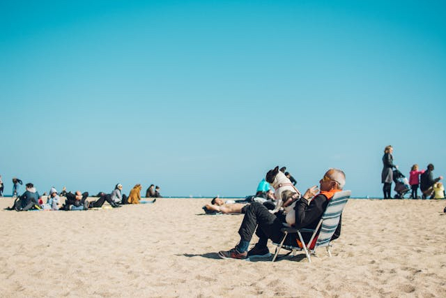 5 Things You Need for a Comfortable Retirement – paulfox.blog